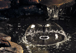 Water Feature Lights - Vast Selection of Lights for Water Features ...