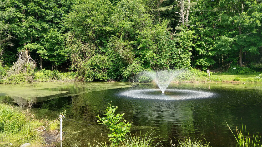 3/4HP Trumpet Floating Aerating Fountain - Water Garden UK