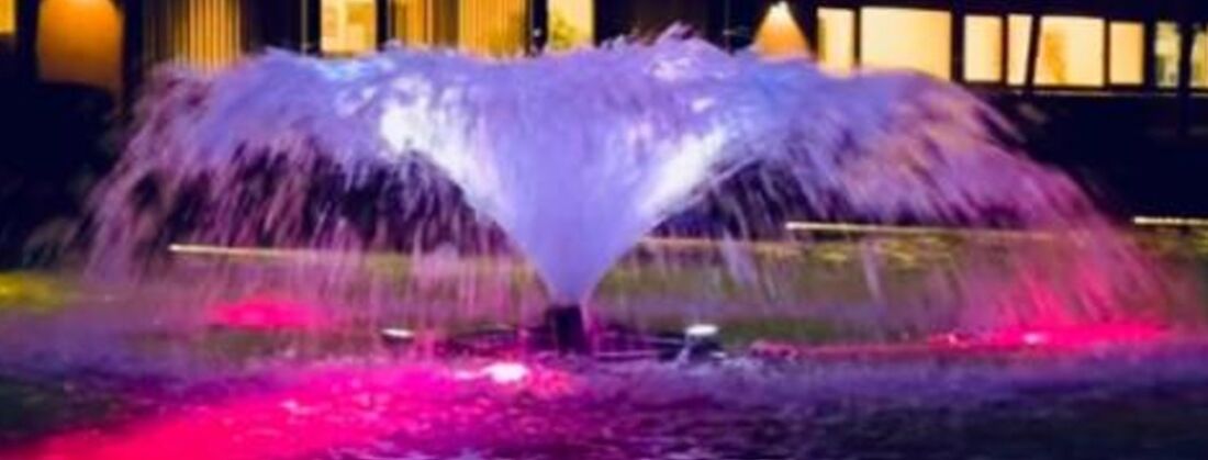 Profi RGB Add-On Lights for OASE Lake Fountains - Water Garden UK