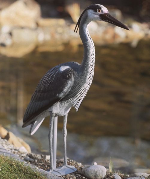 Plastic Heron Decoy for garden ponds - Water Garden